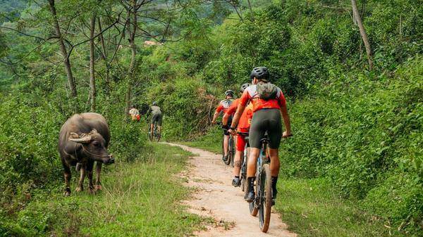Solo trips, e-bikes, and wildlife: six adventure travel trends for 2026 ...