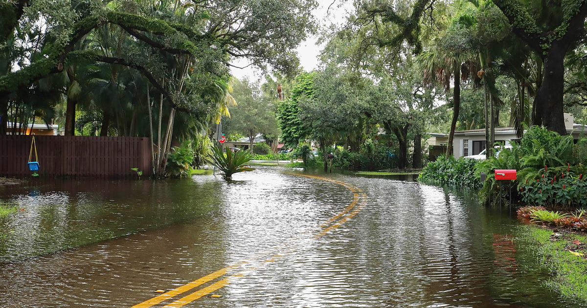 Travellers shift to flexible bookings and insurance as extreme weather ...